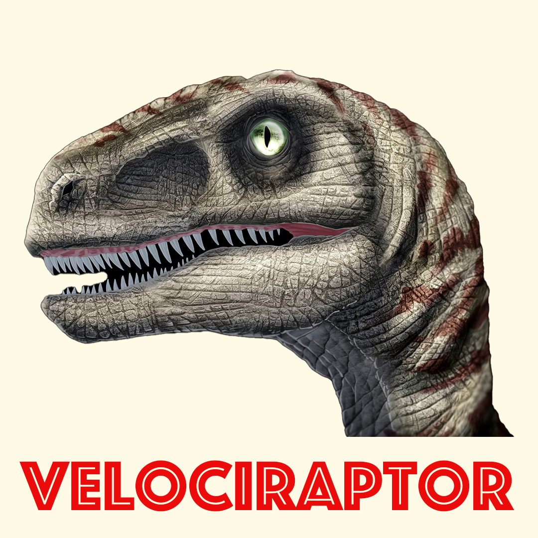 Velociraptor Head Drawing