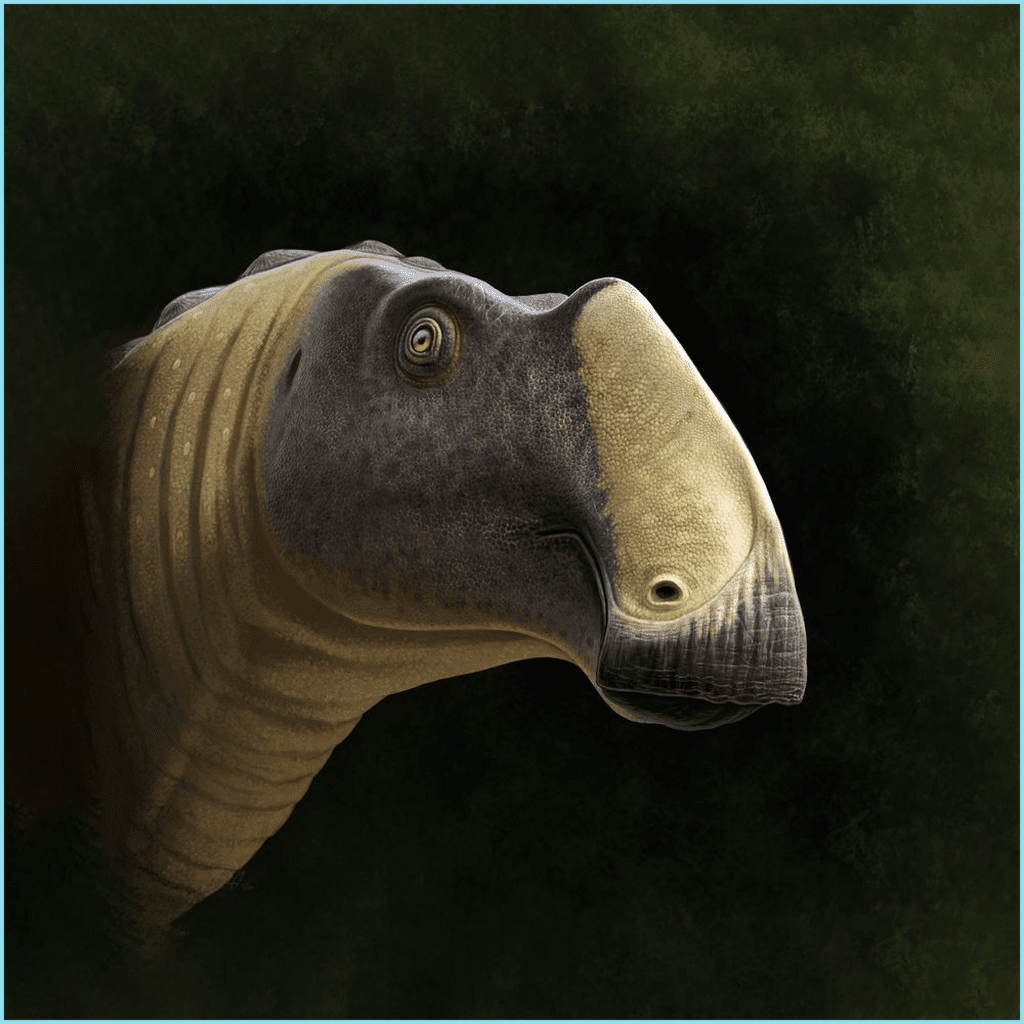 Gryposaurus
