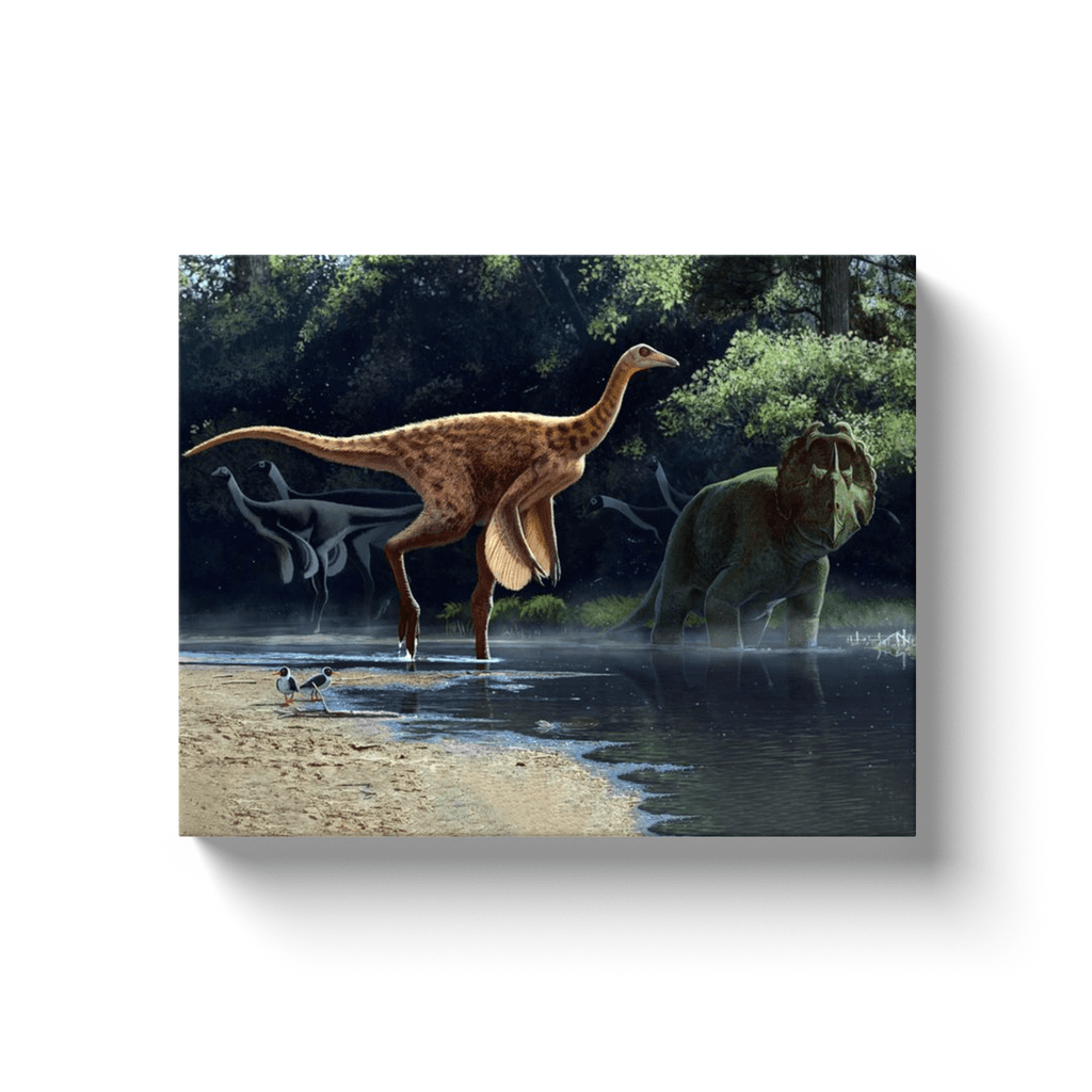 Rativates Canvas Wrap – Jurassic Studio